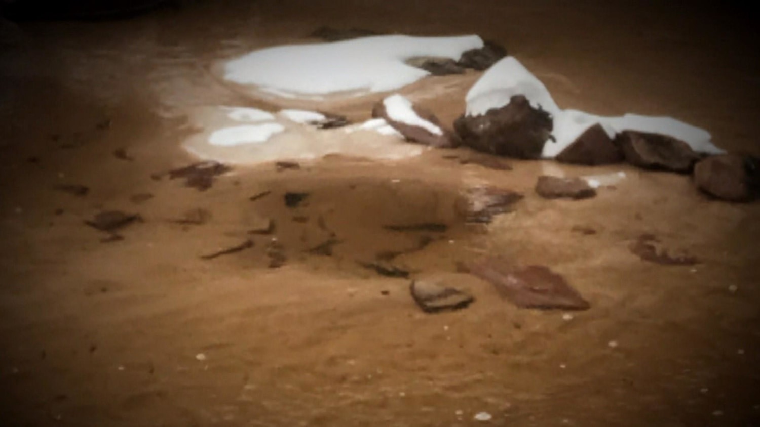 Quicksand Sinking Jungle Quicksand Entrapment! Quicksand Ambience Of A