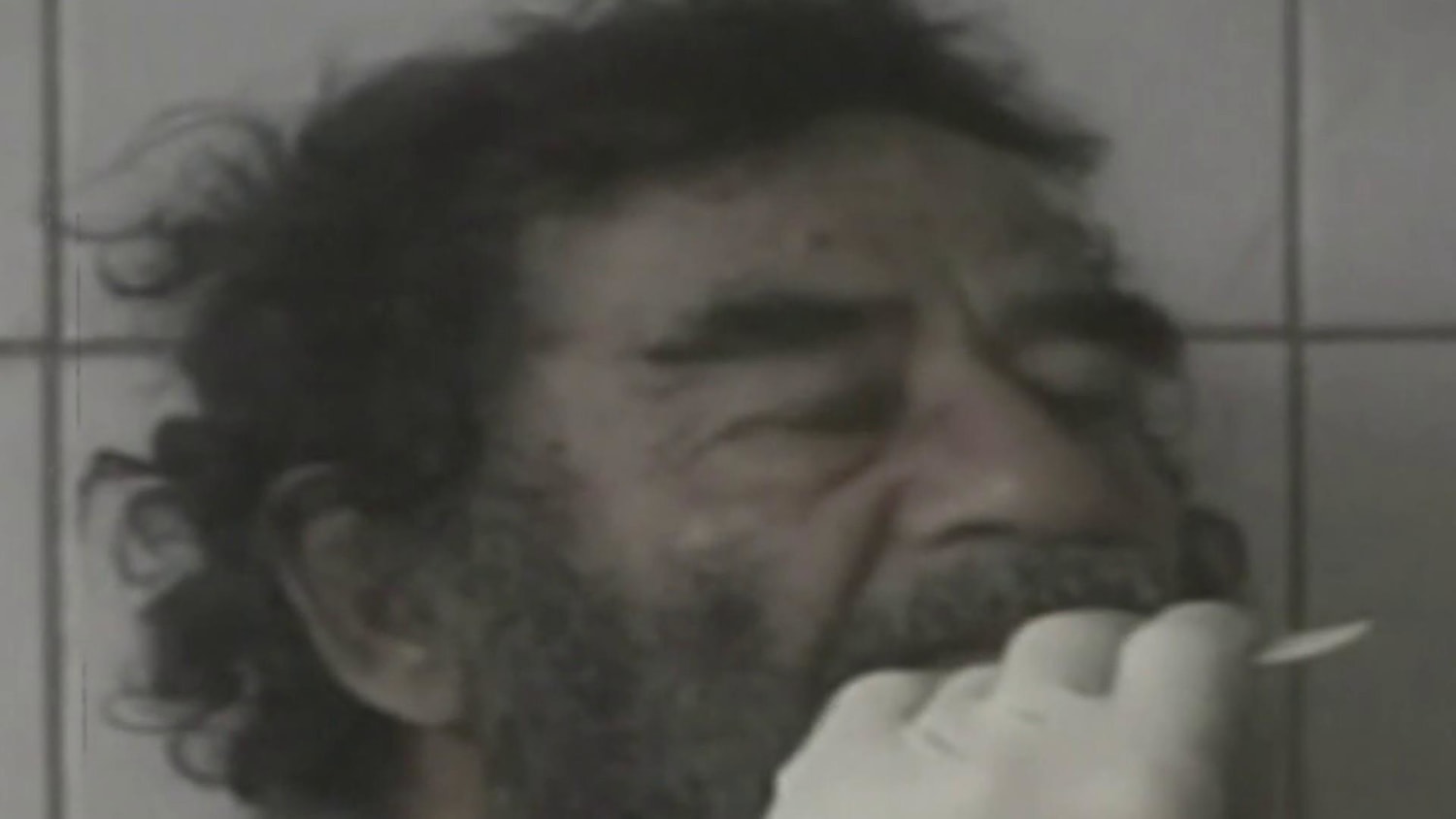 Saddam Hussein Captured An Up Close Look At The Capture Of Saddam