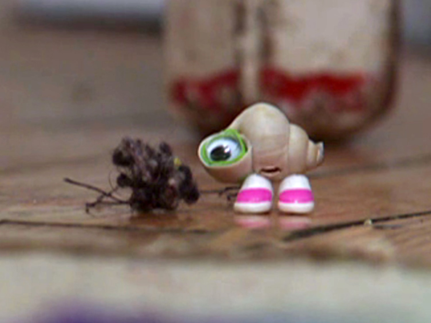marcel the shell gft