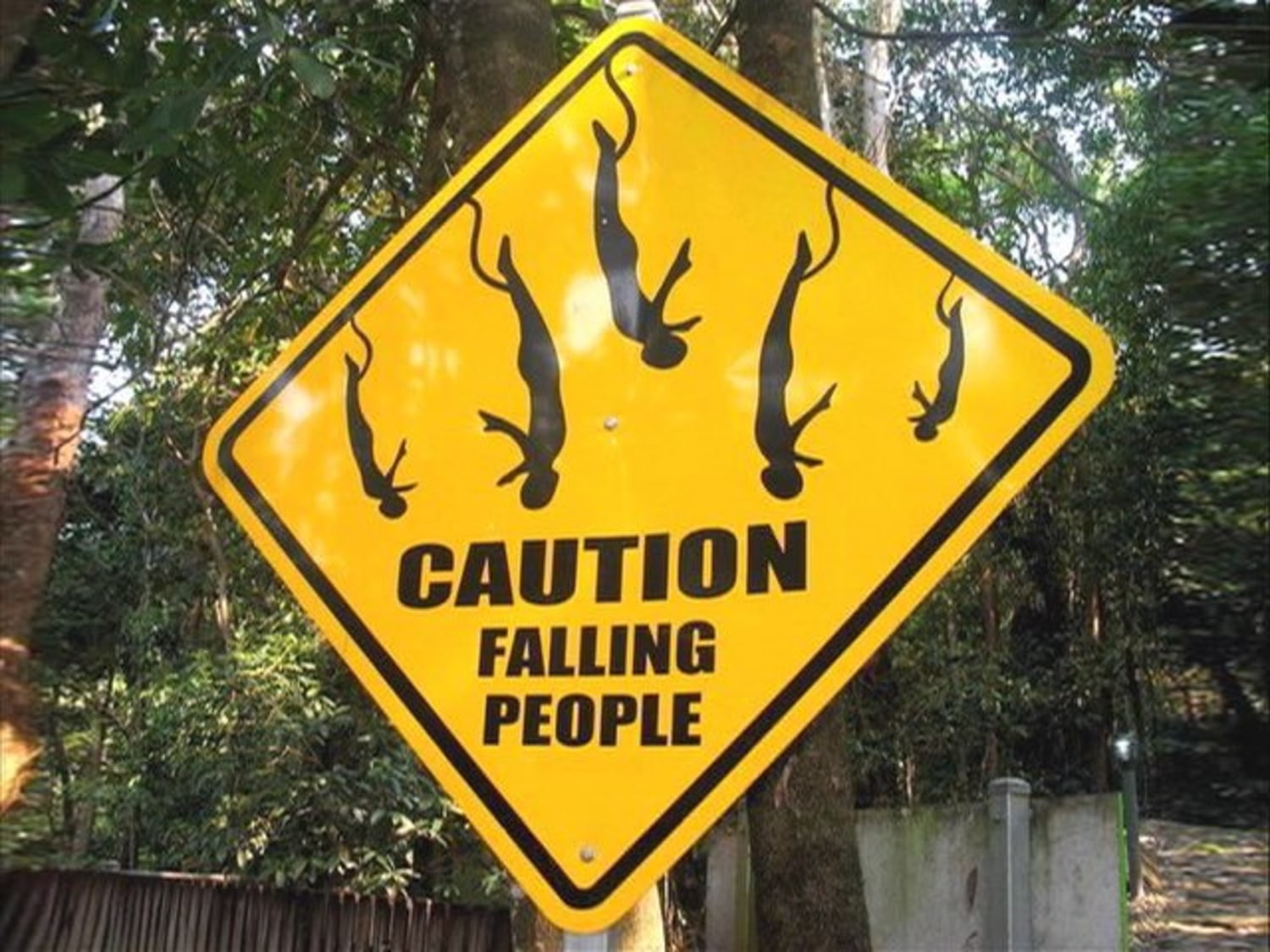 funny falling peoples