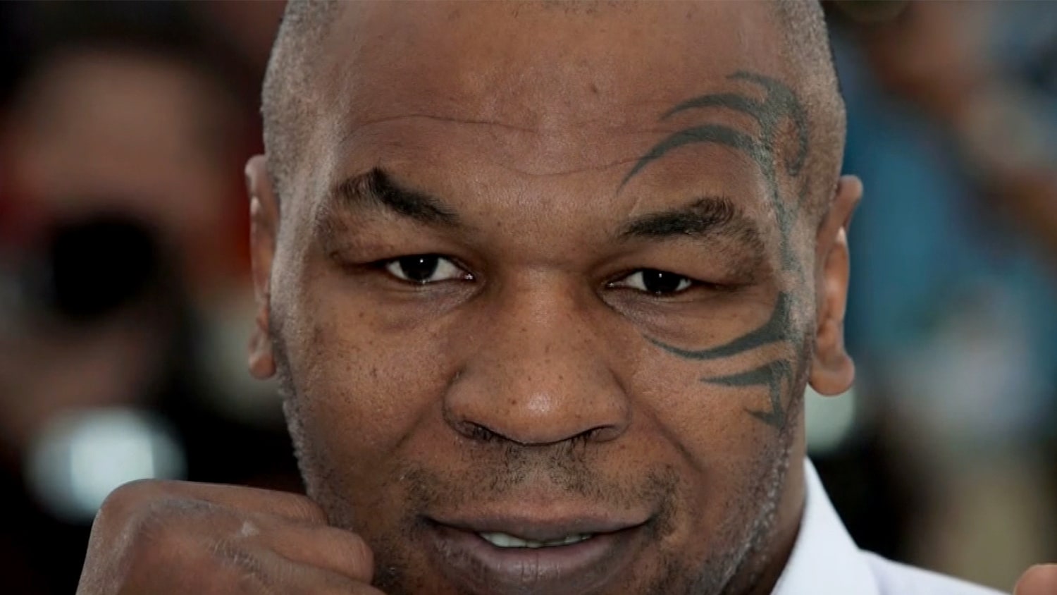 perfect eyebrows tysons