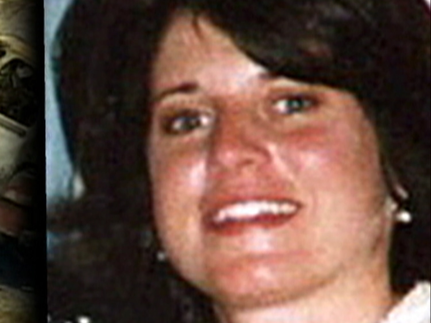 diane schuler documentary