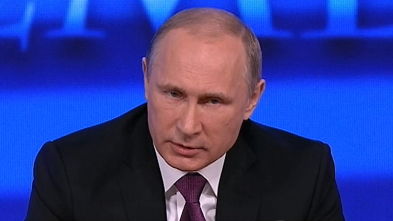 vladimir poutine ours