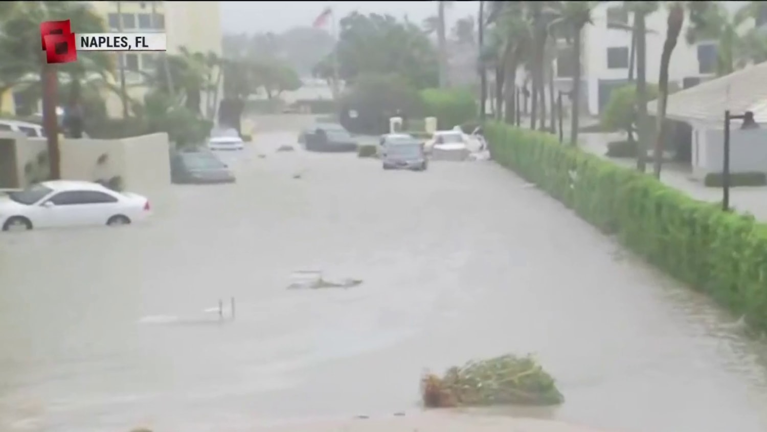 Naples Florida Weather Storms Tropical Storm Debby Live Updates: Five