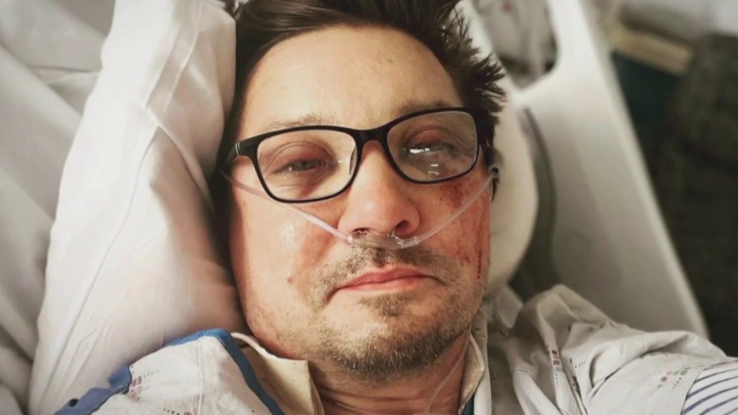 jeremy renner american pie