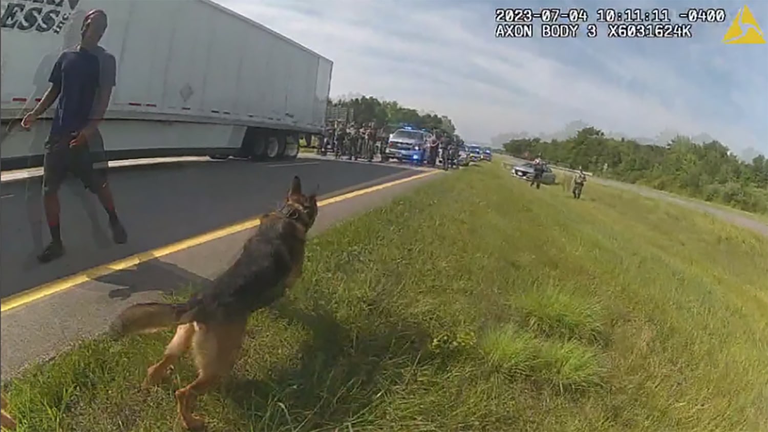 Police Dogs Attacking