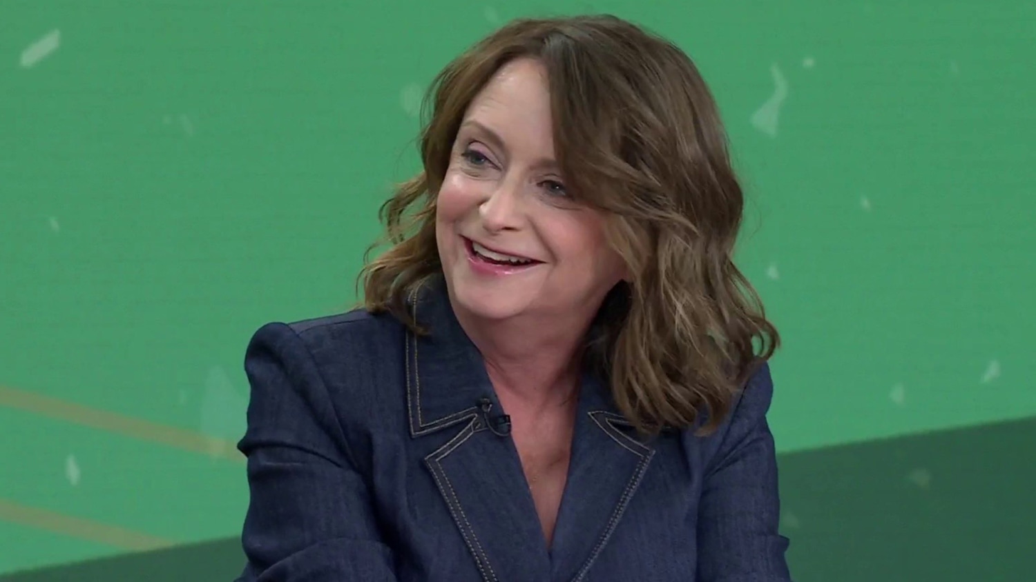 Rachel Dratch, Harry Potter SNL's "Debbie Downer: Disney World" With