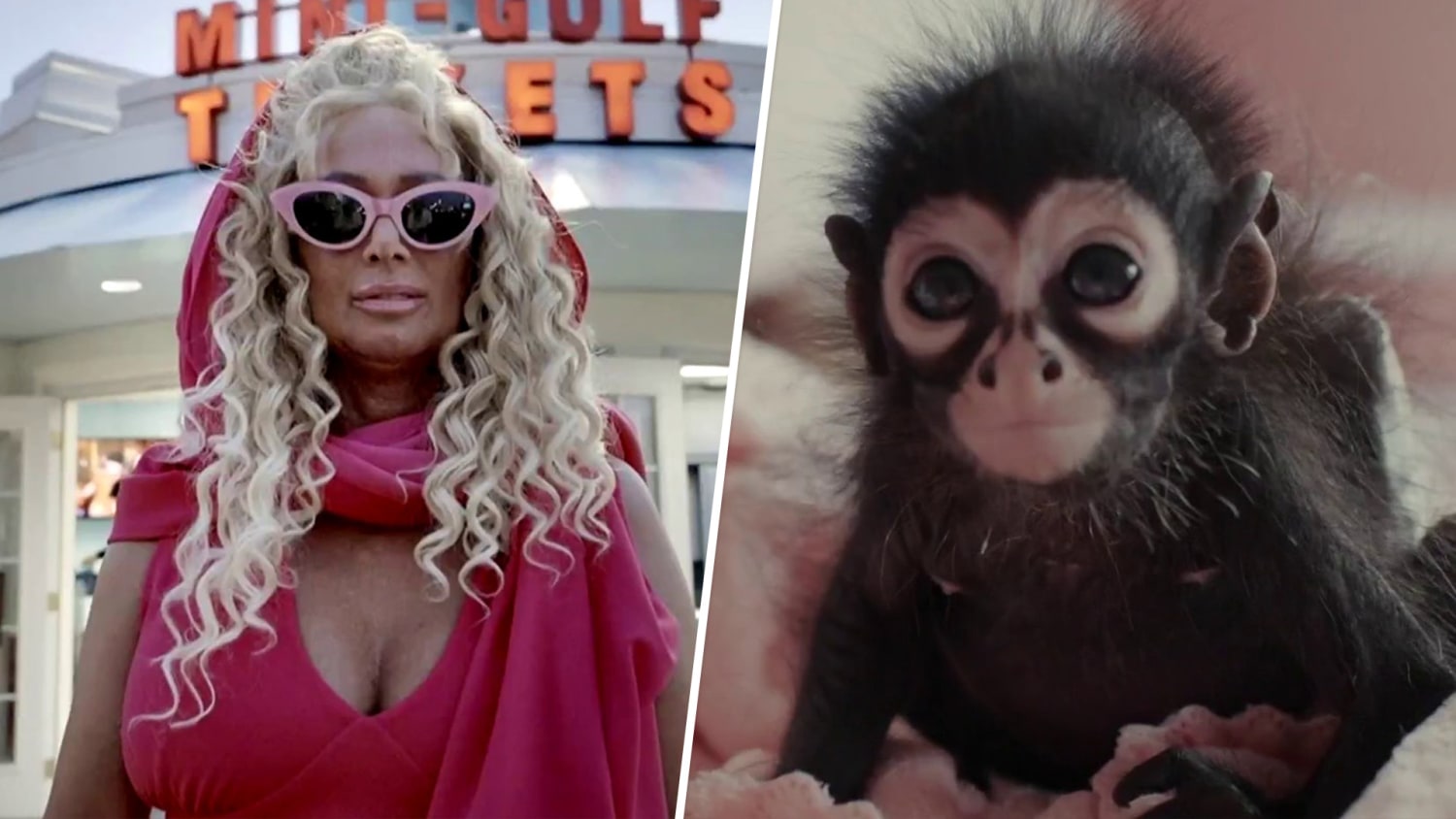 Caddyshack Woman Monkey The Dancing Gopher