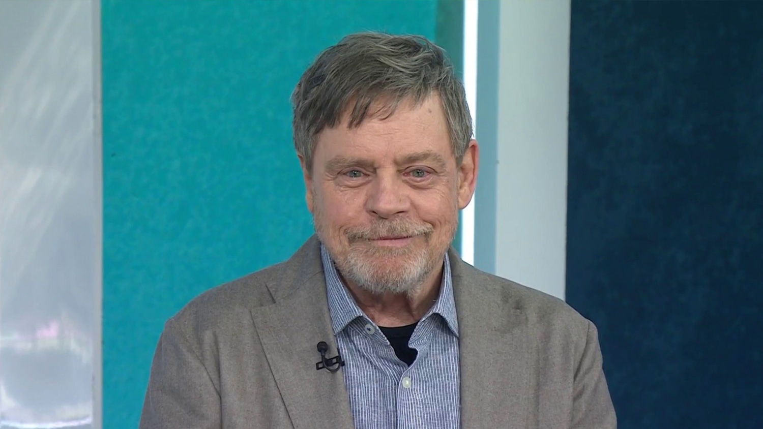 mark hamill beard