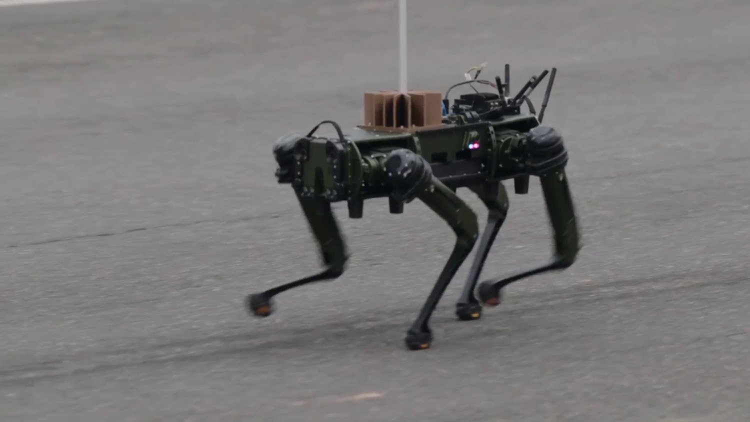 Military Robot Dog
