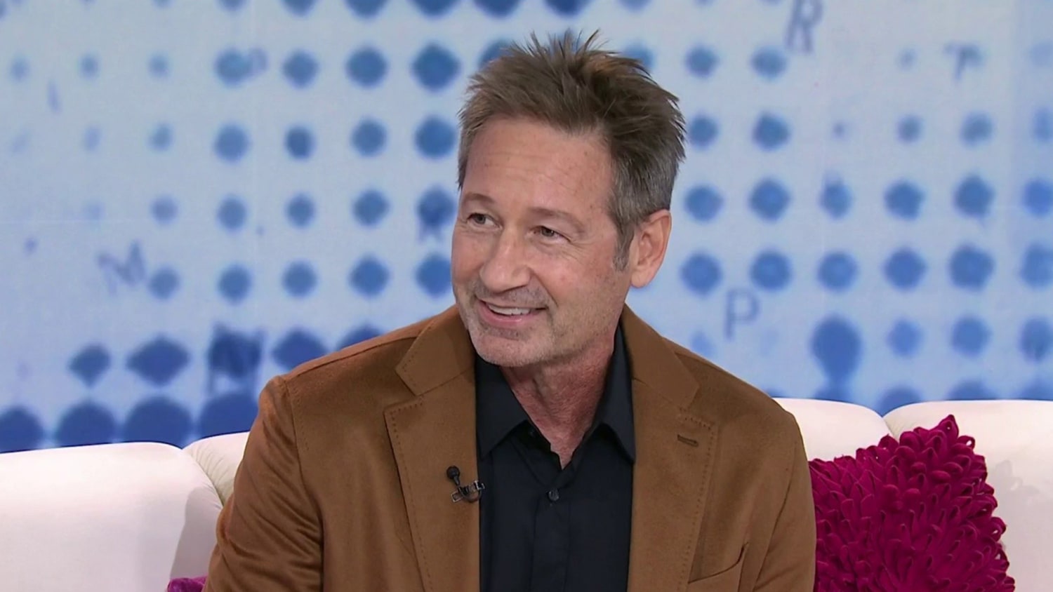 david duchovny current projects