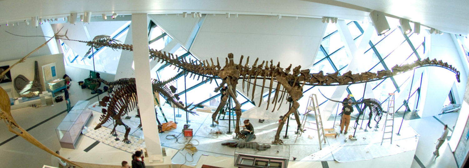 dinosaur bones canada