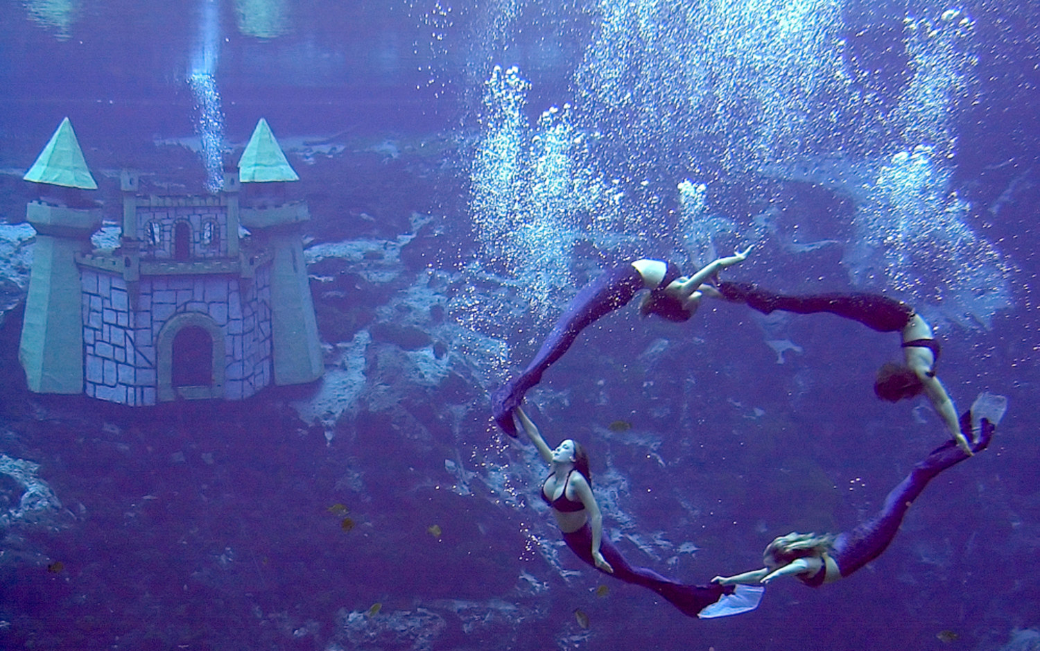 Weeki Wachee Mermaids Florida Weeki Wachee Mermaid Camp Offers Fins,