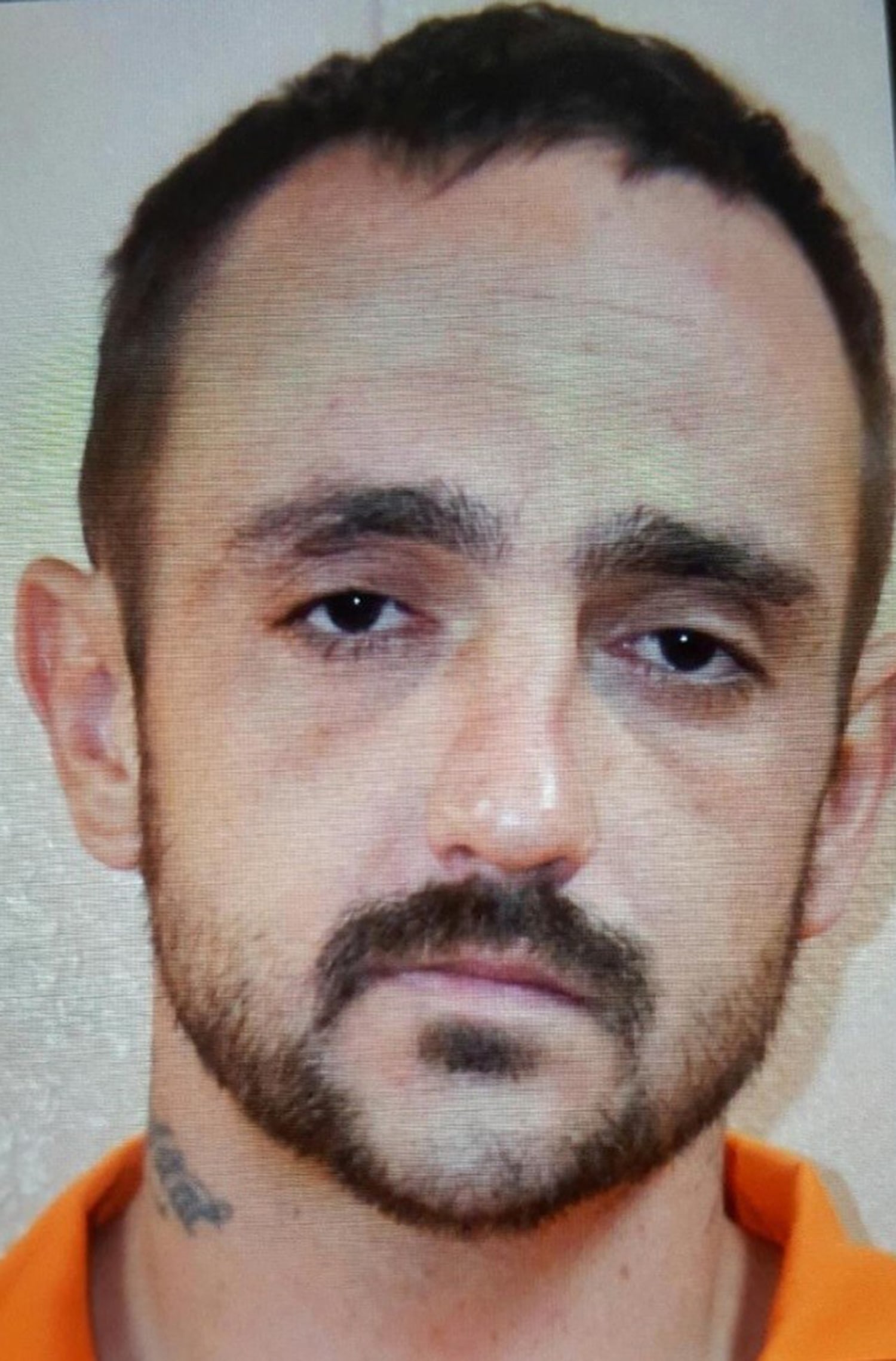 Shannon Randall's Instagram, Twitter & Facebook on IDCrawl