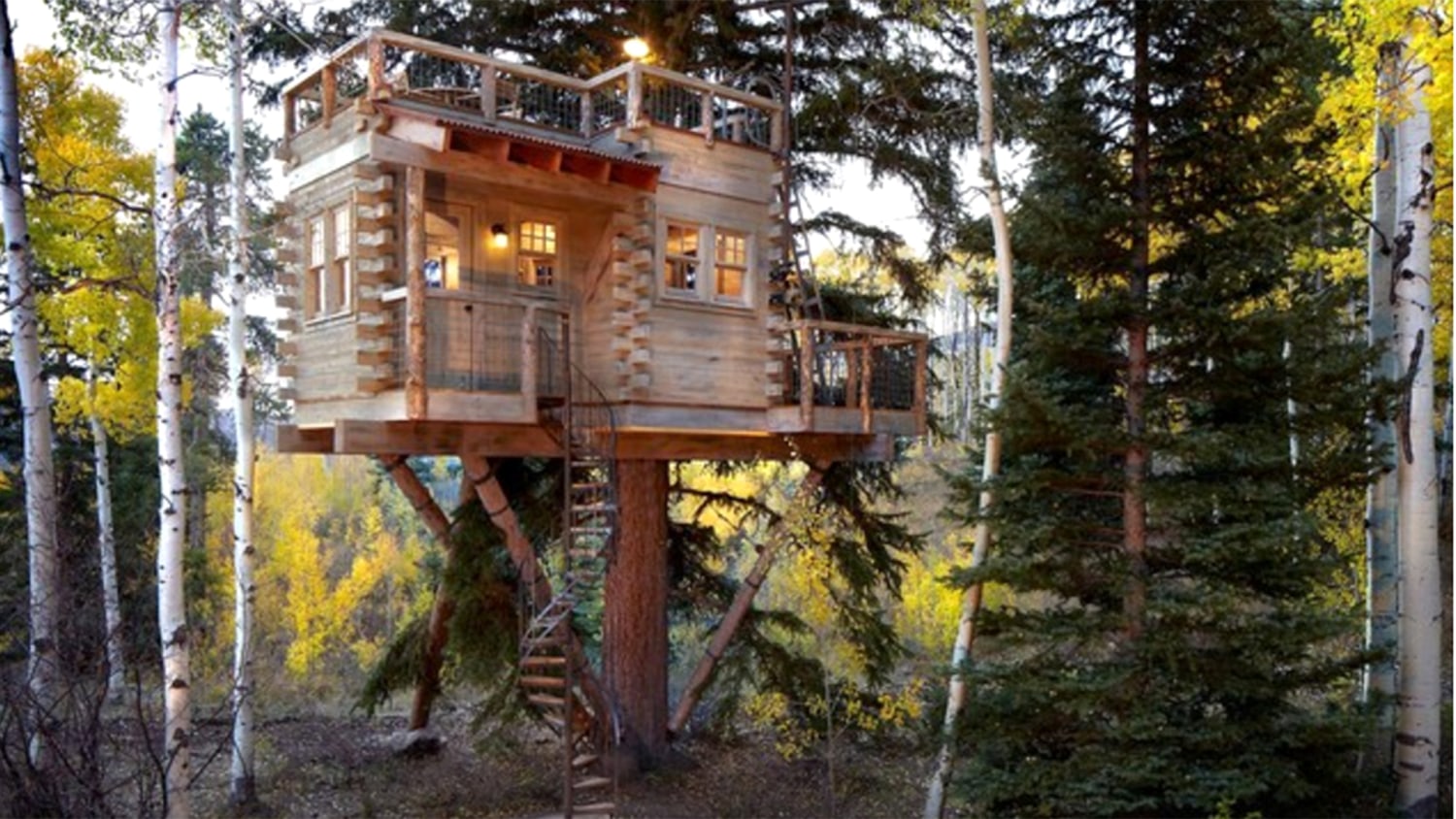 Tree Houses Cabin In Colorado