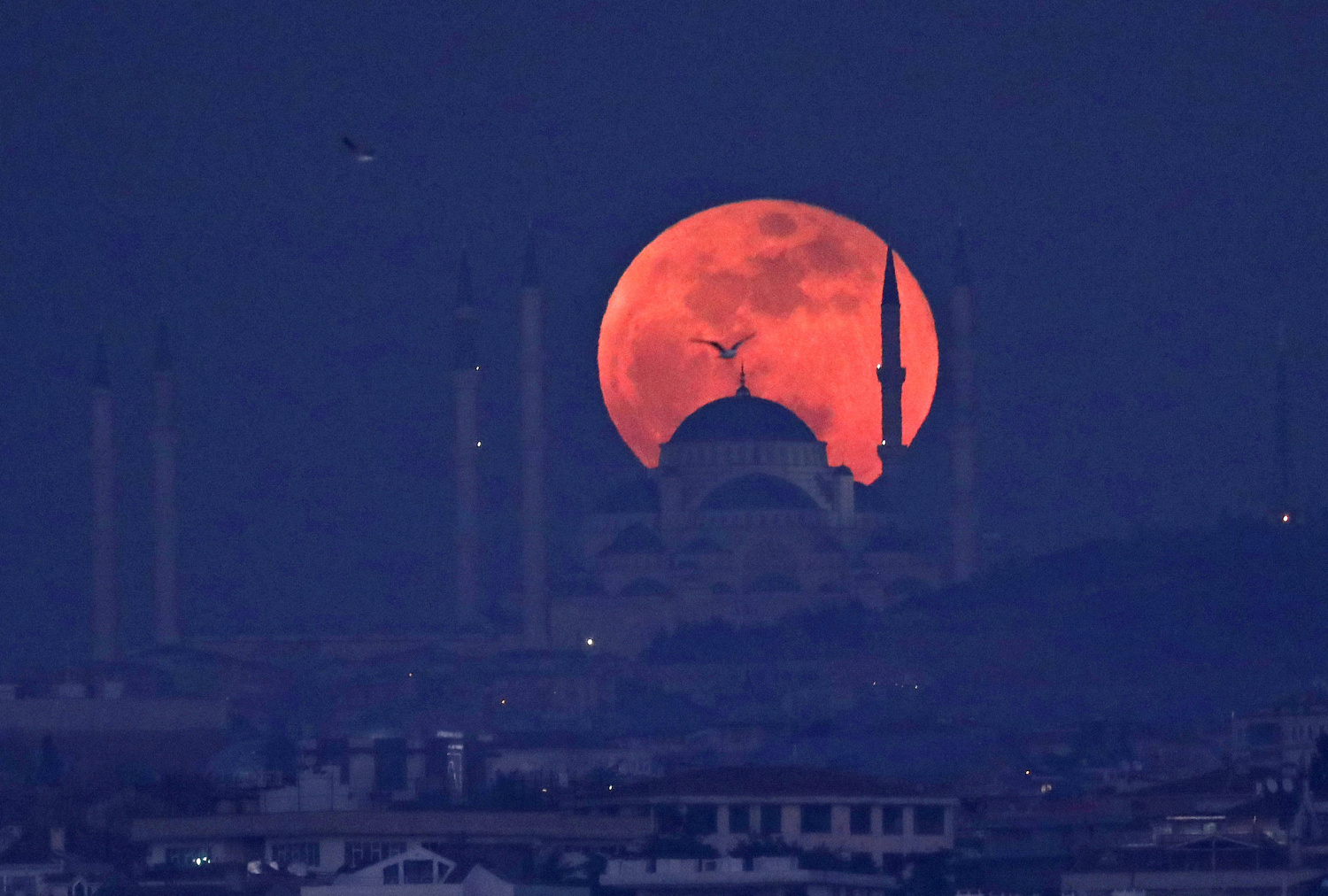 Red Moon 2018 Info Blood Moon Lunar Eclipse 2023 — The Hoodwitch