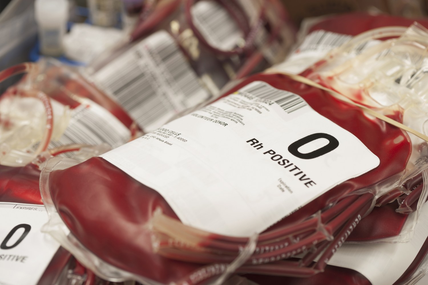 O Blood Type Why Group O Blood Is So Important | Our Blood Institute