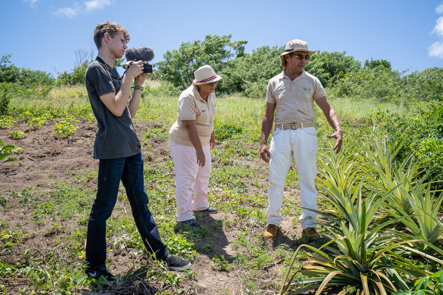 Puerto Rico Agriculture