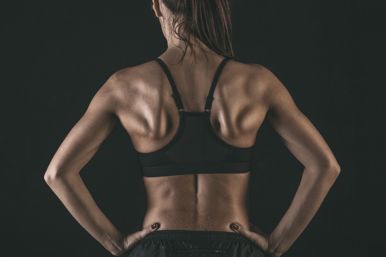 Best Workout Routine For Building Muscle Reddit EOUA Blog