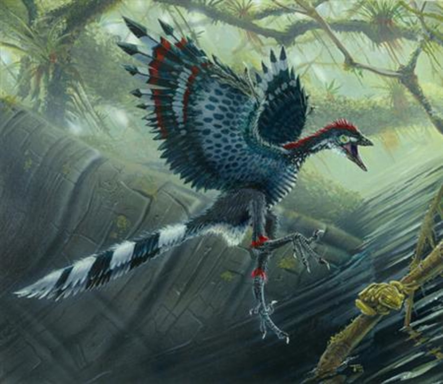 First Birds On Earth
