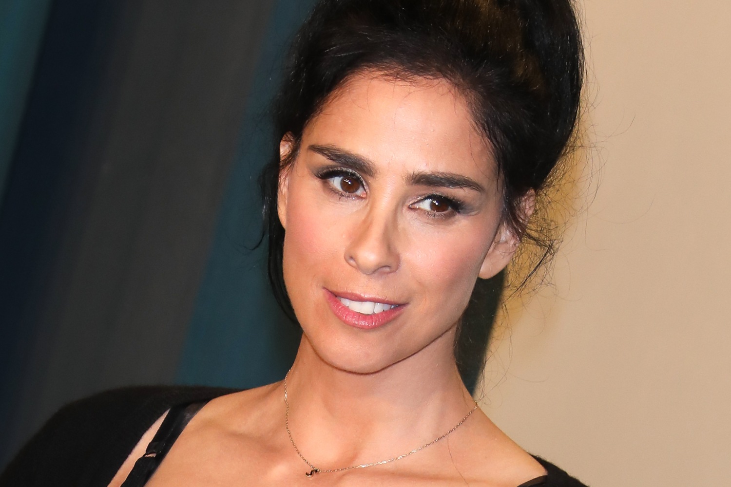 Sarah Silverman Asal Lom Came For The Job, Stayed For The Clean