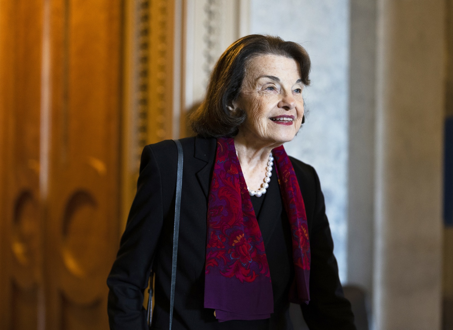 Matthew Feinstein Wedding No Matter How Straitlaced She Seemed, Dianne