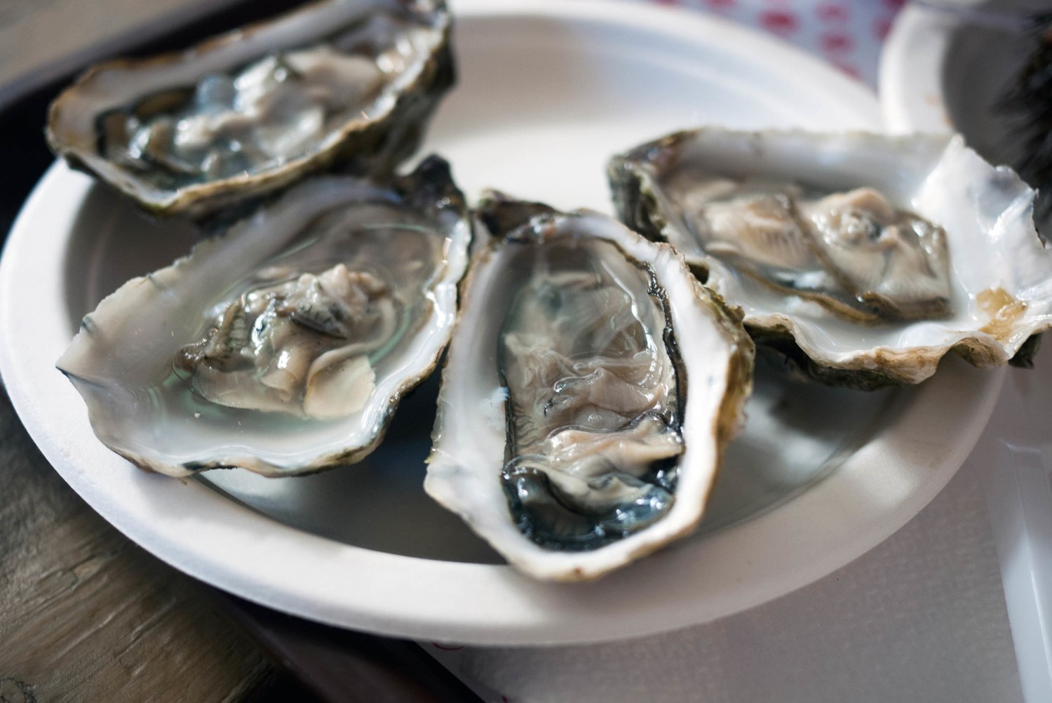 Vibrio Vulnificus Bacteria Found in Raw Oysters May Be Rising