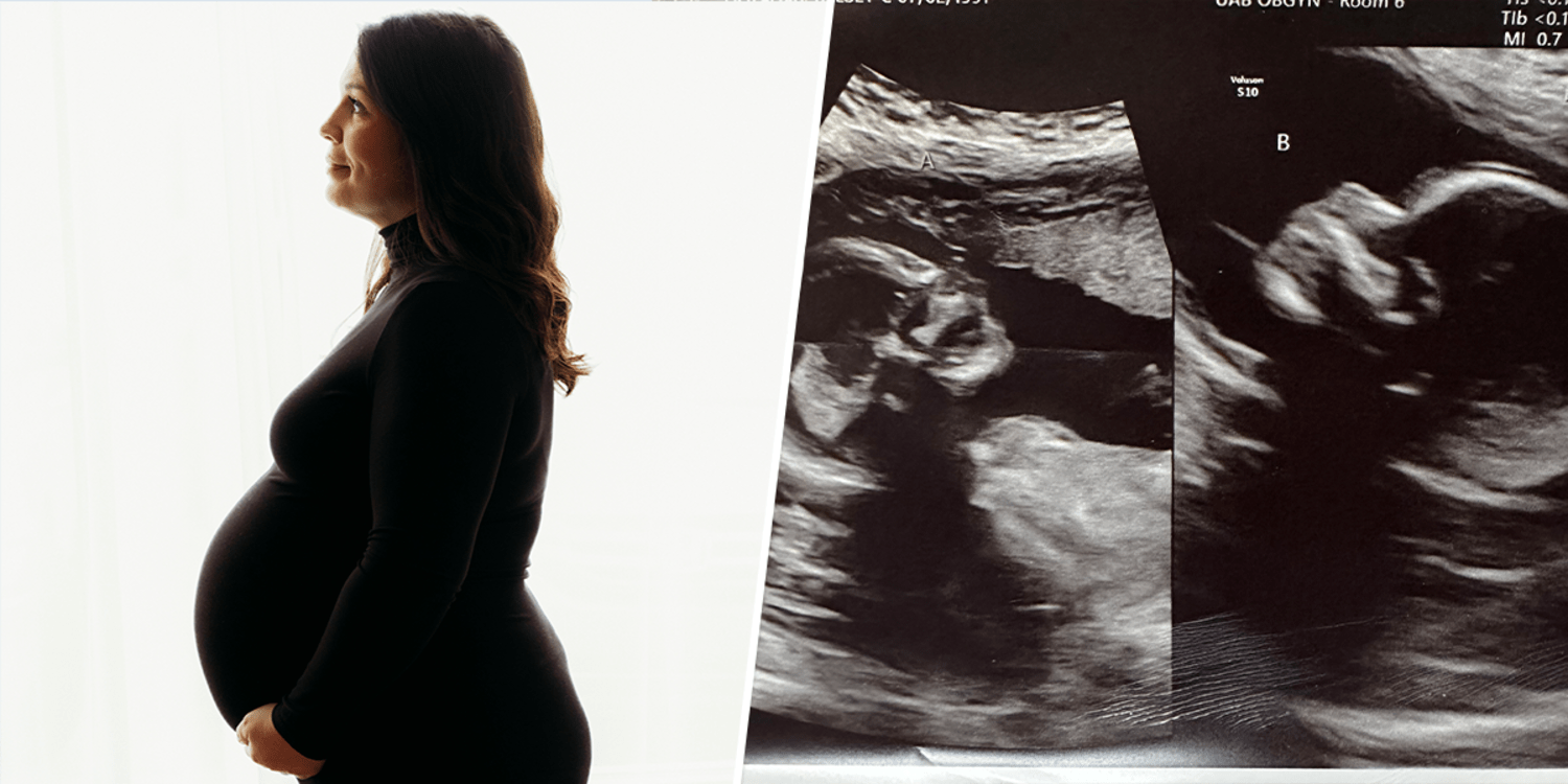 Human Pregnant Uterus