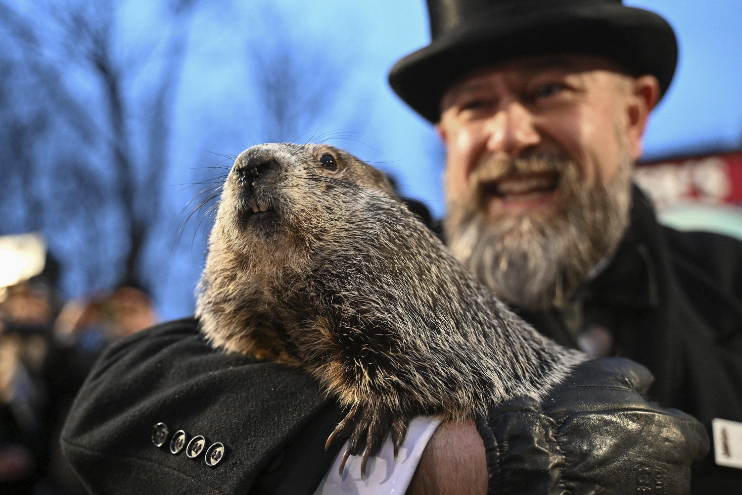 Imágenes De La Película El Día De La Marmota Ciencia Divertida