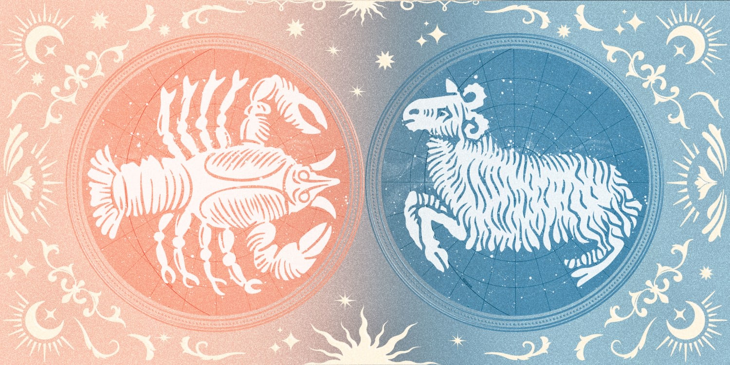 What zodiac signs act cute but can fight 60 photos - Youhoroscope.com