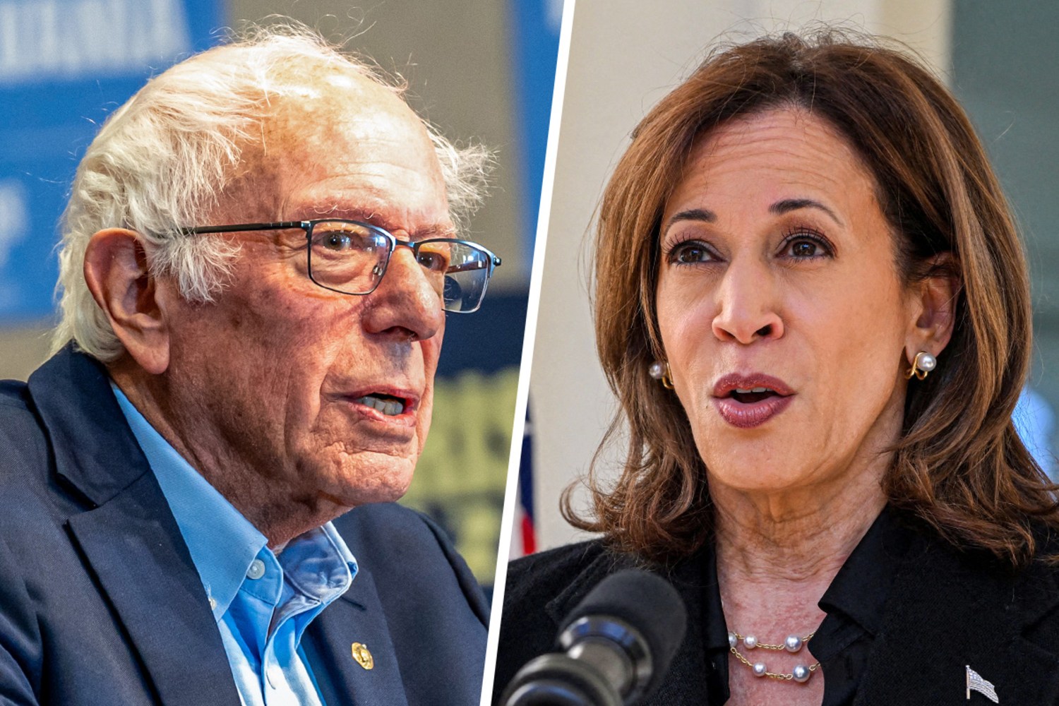 Bernie Harris's Instagram, Twitter & Facebook on IDCrawl