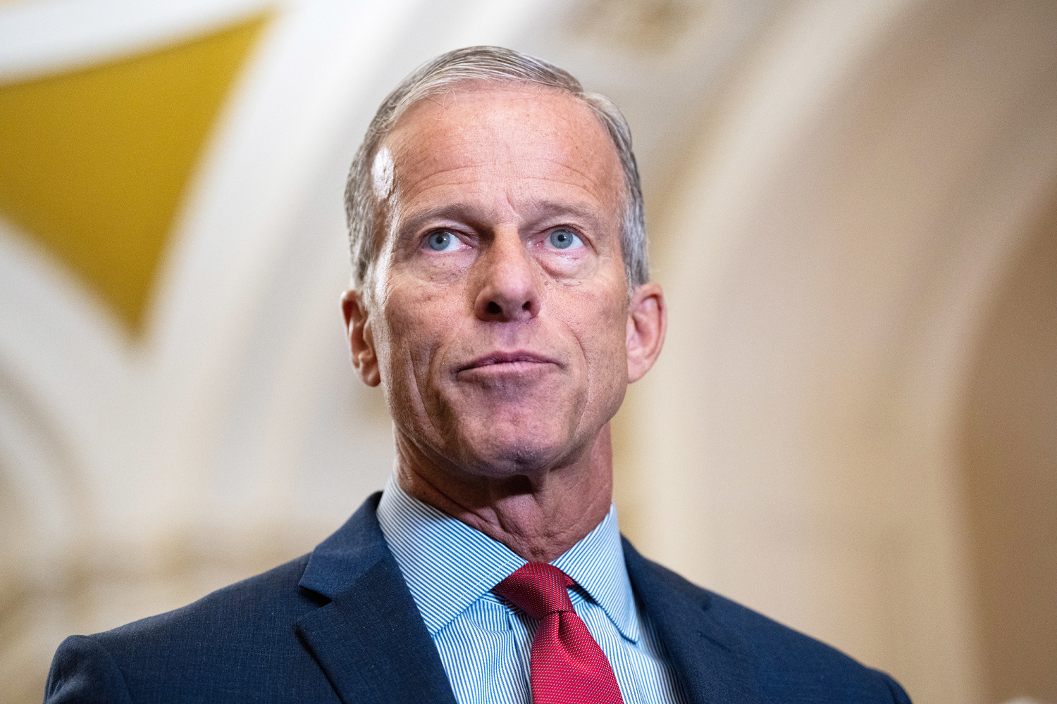 Riley Law's Instagram, Twitter & Facebook on IDCrawl