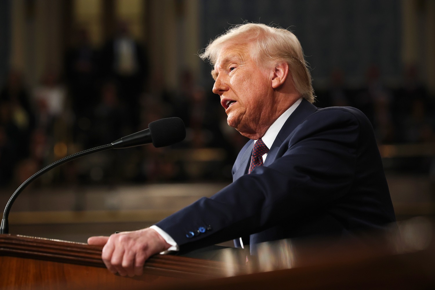 Doge For President Trump Reins In Musk, Announces Biweekly Cabinet