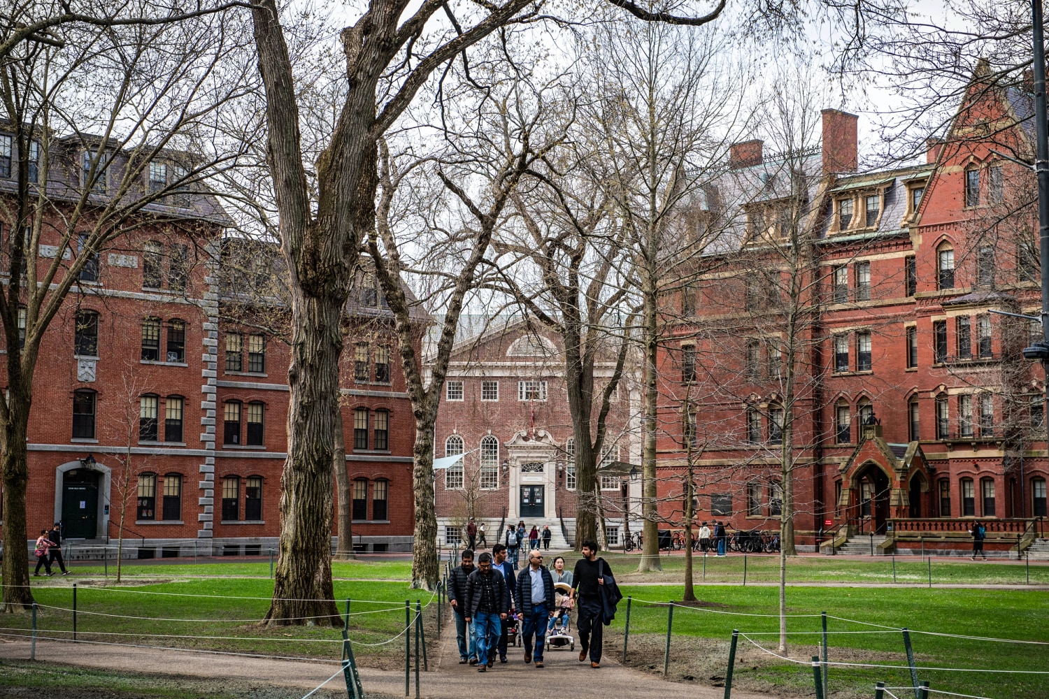 Harvard College Campus