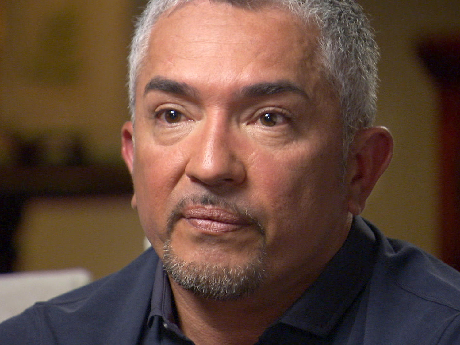 Demandas De Cesar Milan SciELO Brasil I Diretriz Brasileira De