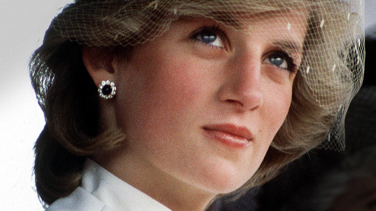 Virginia Stack's Instagram, Twitter & Facebook on IDCrawl