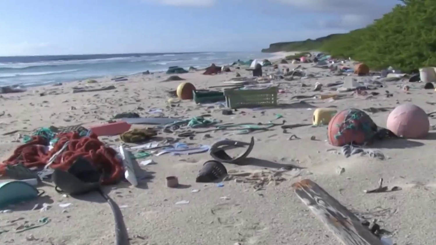 beaches with pollution