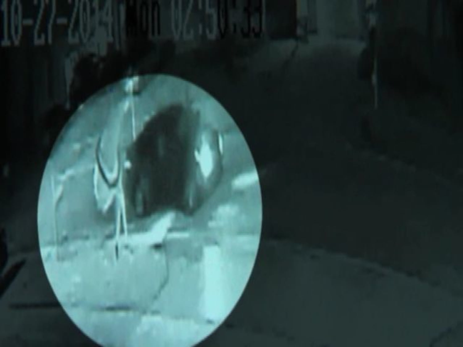 witch captured on camera