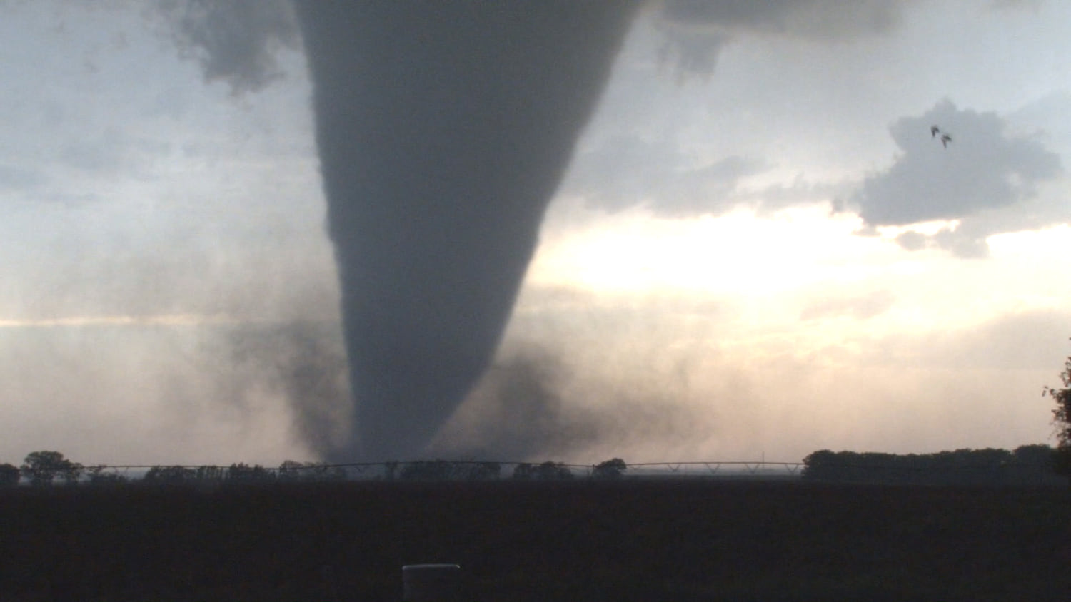 ef4 tornado florida