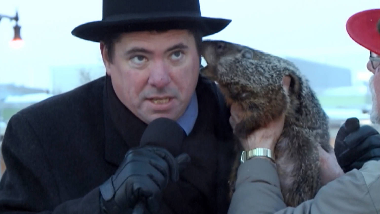 groundhog bite prank