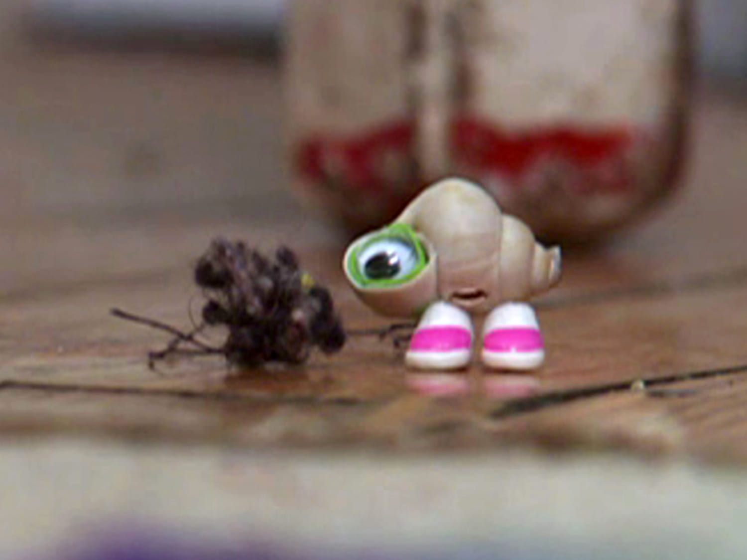 marcel the shell