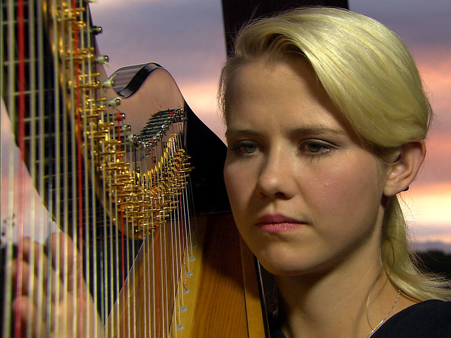 Brooks Harp's Instagram, Twitter & Facebook on IDCrawl