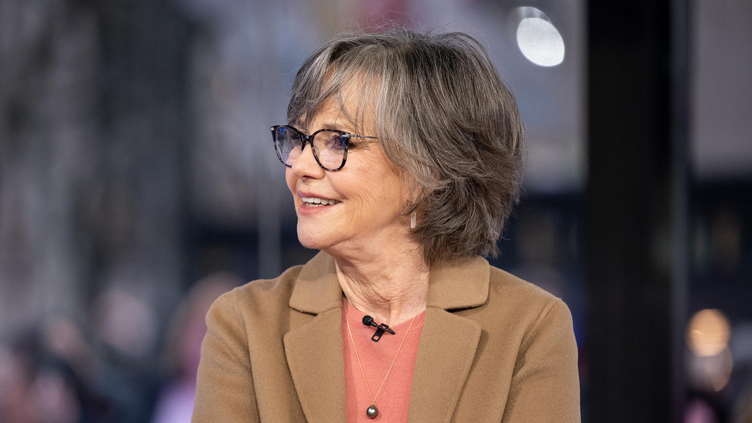 Sally Field Fear Spider MOVIE REVIEW: Garfield Stone Chemistry Saves