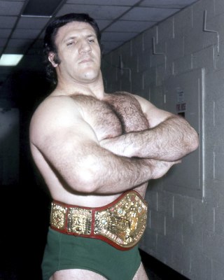 Bruno Sammartino Wrestler 1977