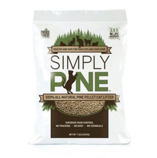 The best cat litters of 2020