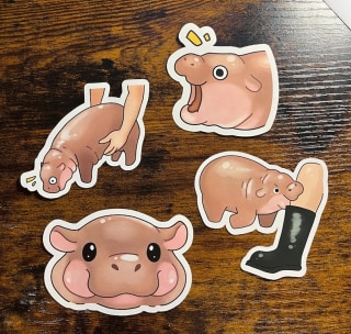 Moo Deng gifts: 14 best gift ideas for fans