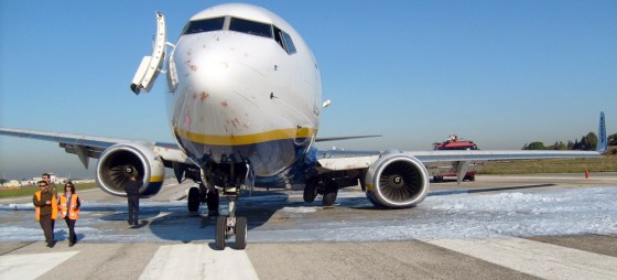 Bird strikes becoming a more serious threat