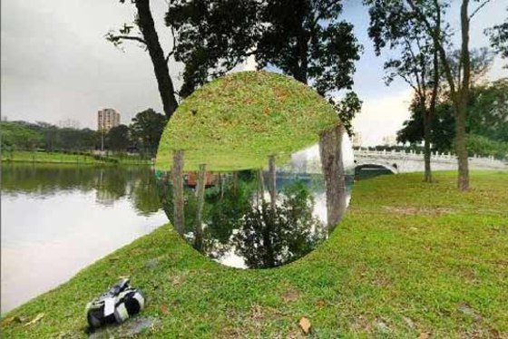 Universal mirror shows all angles