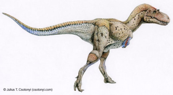 Was T. rex a chicken and baby killer?