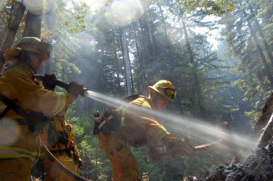 Cost of California wildfires mounting